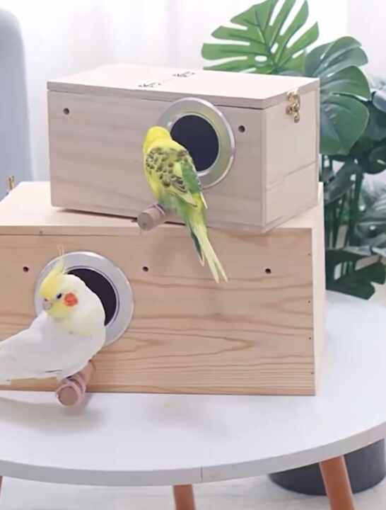 4 Sizes Outdoor Wood Bird Aviary Finch Nest Parakeet Nesting Box for ...