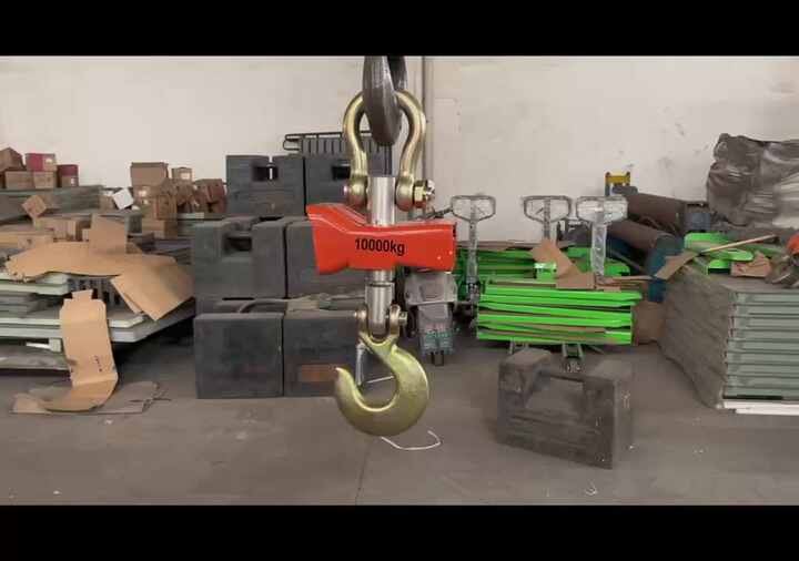 Wholesale 300kg Waterproof Electronic Crane Scale - Fast Delivery