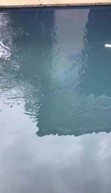 Dolphin M200 PLUS - Efficient Pool Cleaning Solutions