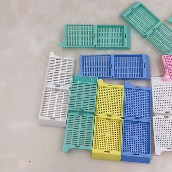 Stainless Steel Histology Tissue Molds - Custom Support