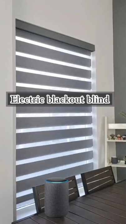 Motorized Zebra Shade Window Day and Night Alexa Control