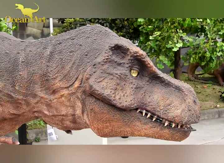 Dino Theme Park Life Size Mechanical T-Rex Head Animatronic