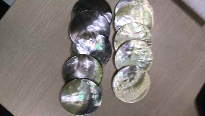 Polished Blacklip Mop Shell Discs - Elegant Inlay Decorations