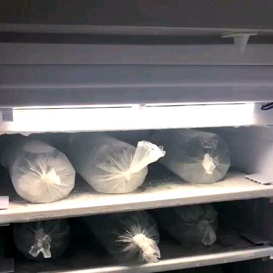 198L DC 24V Ice Block Upright Freezer - Efficient & Reliable