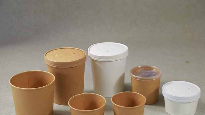 Eco-friendly Soup Containers - Biodegradable & Disposable