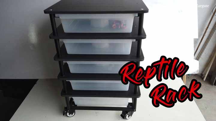 Reptile Basics Breeding Rack - Customizable & Sustainable