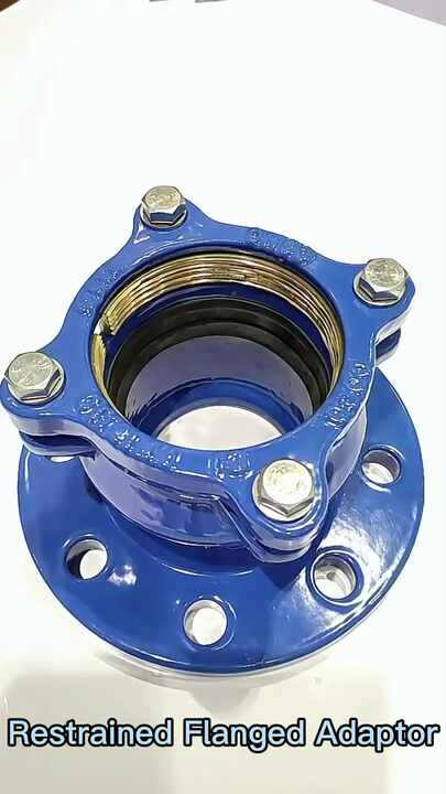 Large Diameter PE Restraint Flange Adaptor with Brass Thrust Ring