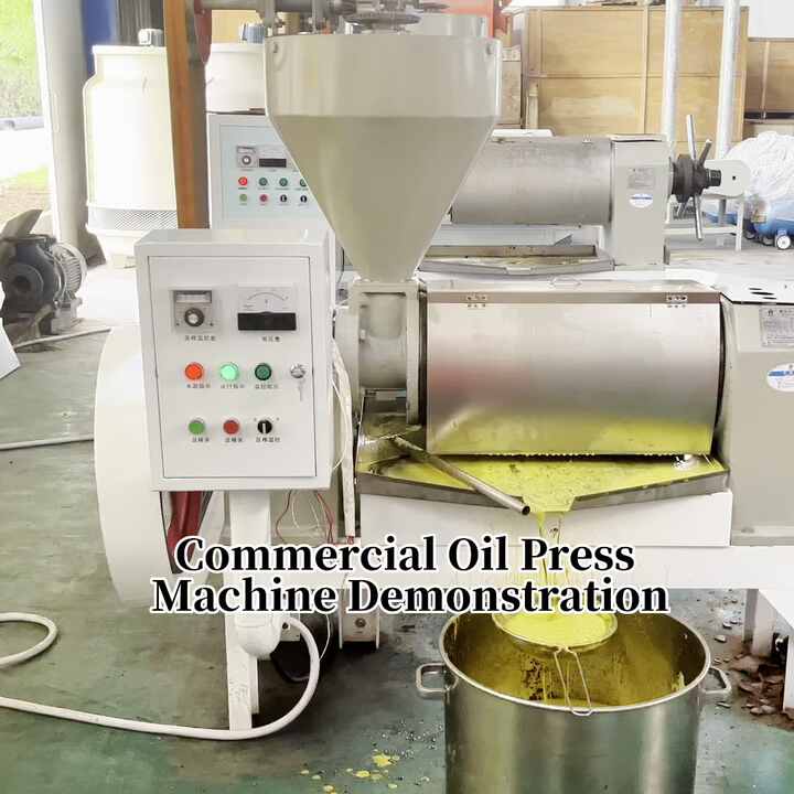 2024 Advanced 230kg/h Oil Pressers for Efficient Oil Extraction