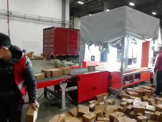 Dynamic DWS Warehouse Logistic System - Precision & Efficiency