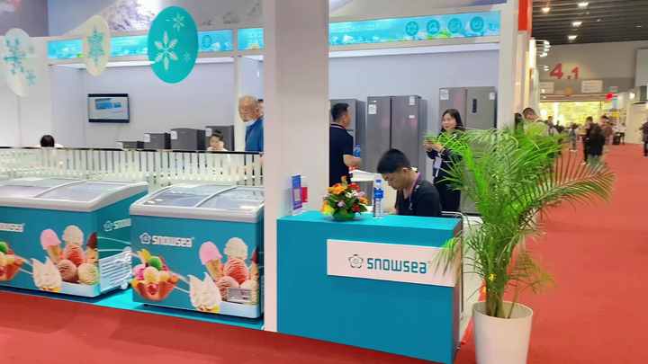 Snowsea BD-158 CE CB Single Door Fridges - Efficient & Versatile