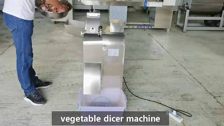 Swept the world Machine slicer dicing machine vegetable salad cutter ...
