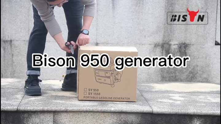 Bison Power Generator 700W - Portable Gasoline Generators