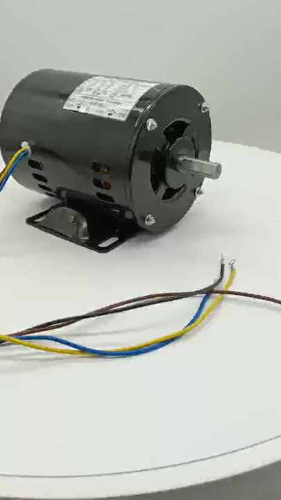 China Factory Single Phase Induction Motor for Washing Machines