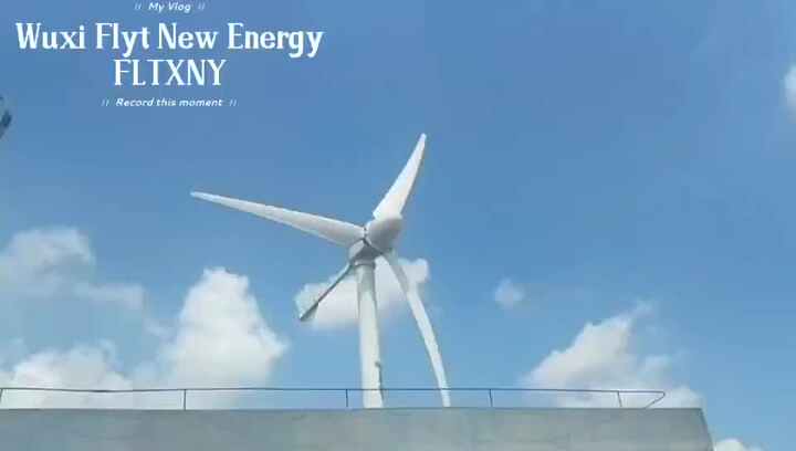 5 Blade Windmill - 800W Horizontal Wind Turbine Generator