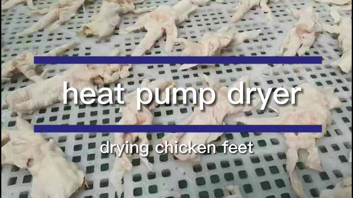 Industrial Heat Pump Anchovy Fish Drying Machine - KUNTENG