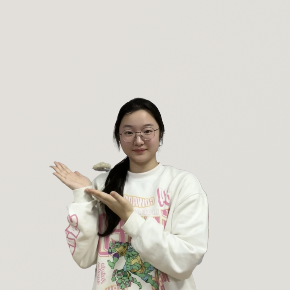 Food Shaped High Quality Hair Container Crab Clamp Claw Clip Spliced ...