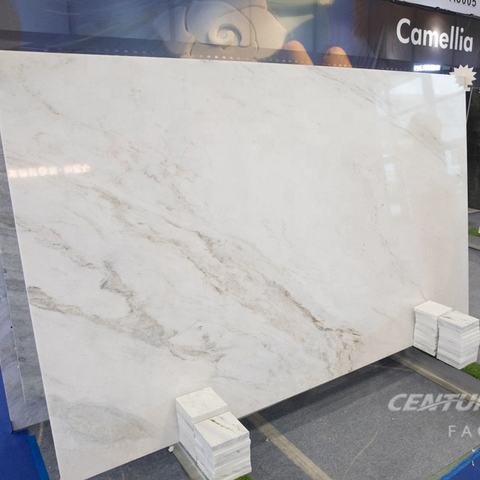 Qingdao Century Import & Export Co., Ltd. - Stone Tiles/Countertops ...