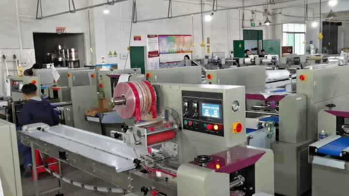 Full Stainless Automatic Snack Packaging Machine For Food Pouch & Pizza ...