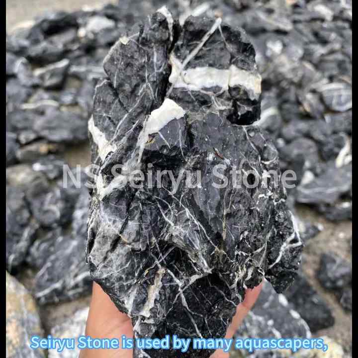 Black Stone Seiryu Stone PH Neutral Full Holes Mini Landscape Rock for ...