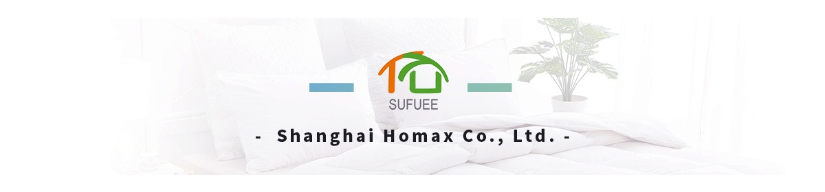 Company Overview - Shanghai Homax Co., Ltd
