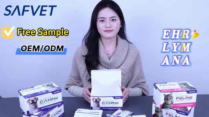 Canine Protozoan Diseases 4dx Dog Rapid test Kit Canis Tick Fever Ehr ...