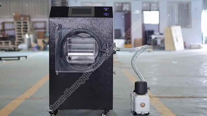 Lyophilization Equipment Freeze Dryer Laboratory Lyophilizer for Food ...