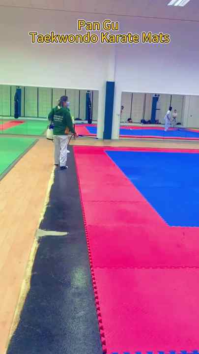 XPE Foam Tatami Puzzle Mats - WKF Approved Taekwondo Floors