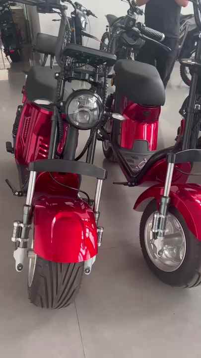 China Manufacture Electric Scooter Citycoco Bike Factory Exports Brazil ...