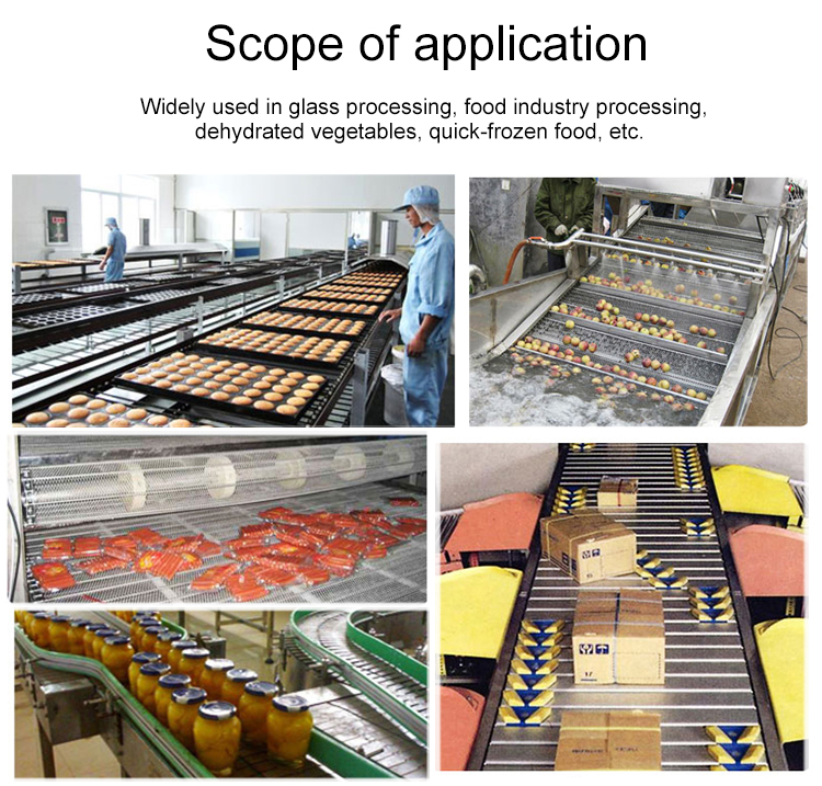 Chain Driven Belt/Stainless Steel Wire Mesh/ Conveyor Belt