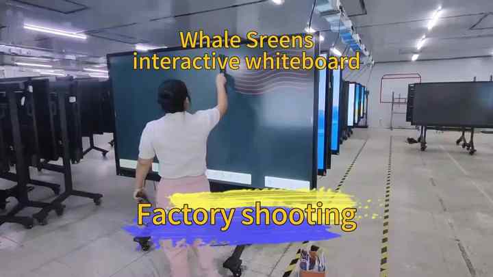 Whale Screens 75 Inch Interactive Whiteboard - Smart & Versatile