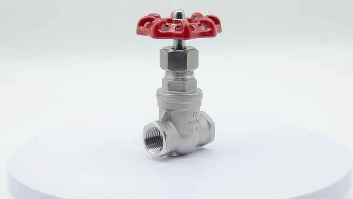Stainless Steel Threaded Globe Valve Multifunctional Small Valve Water ...