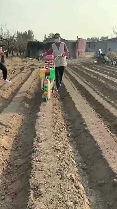 Precision Double Row Small Corn Planter Hand Push Gasoline Sorghum ...