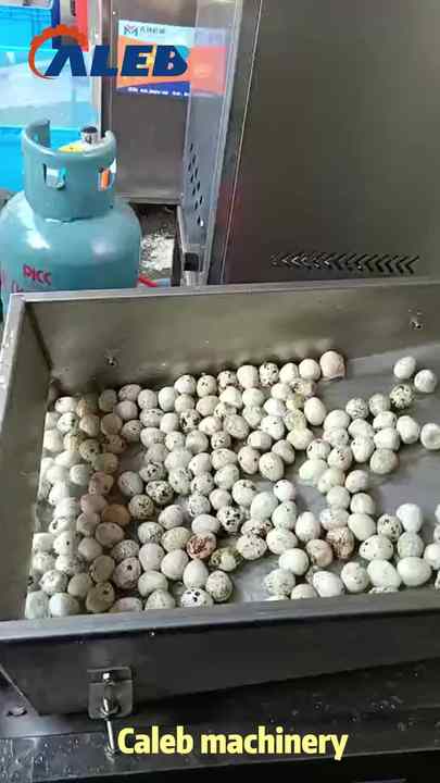 High Efficiency Quail Egg Shell Remover Quail Egg Skin Removing Machine ...