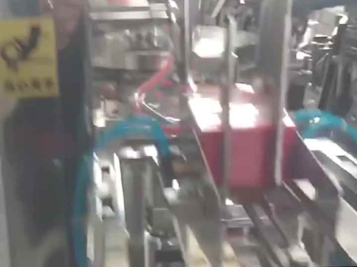 Industrial Multi-Function Automatic Pouch Form Vacuum Packer for Sushi ...