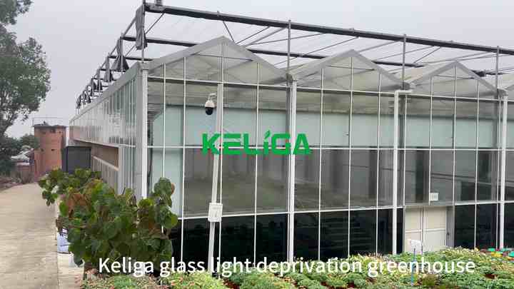 Fully Open Greenhouse With Plastic Polycarbonate Sheet Cover UV Coating ...