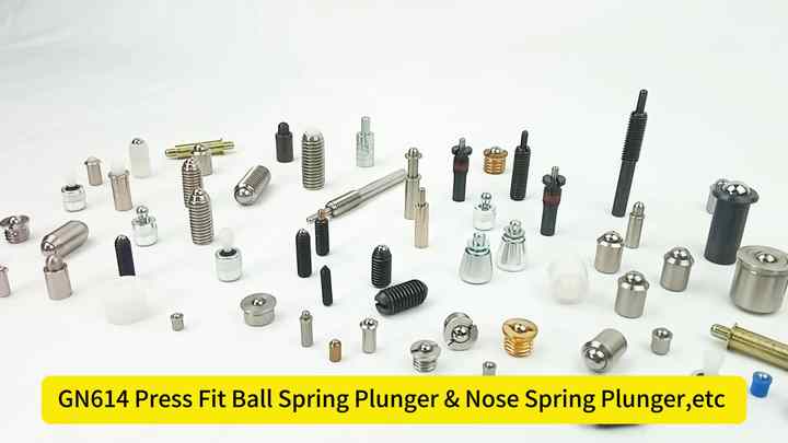 Customized Stainless Steel Spring Plunger with Pom Ball D10mm Stainless ...