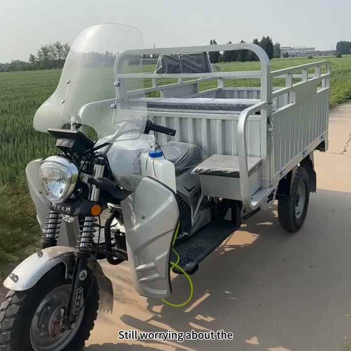Tricycle Motor Cargo Car Motorized Tricycle Motorcycle Gasoline ...