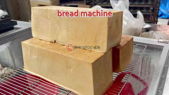 New Patented High Productivity Commercial Use French Baguette Bread ...