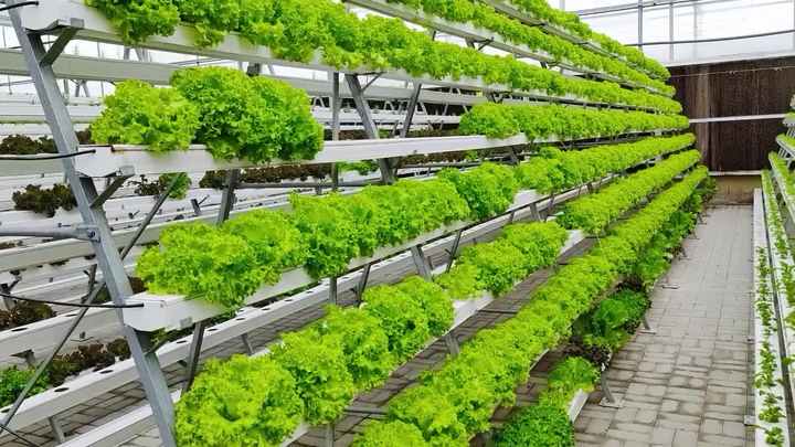 100*50mm 120*80mm Hydroponics Pvc Square Nft System Pipe Hydroponics ...