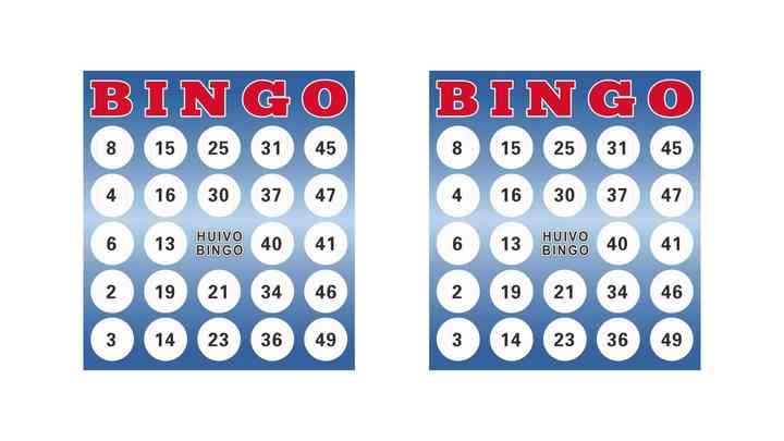 2025 New Hot Custom Digital Printing Family Fun Bingo Card Cardboard ...