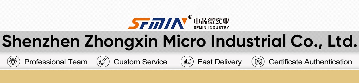 Company Overview - Shenzhen Zhongxin Micro Industrial Co., Ltd.