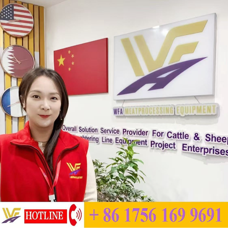 Cow Slaughter House Equipment Halal Slaughter Line Cattle Abattoir ...