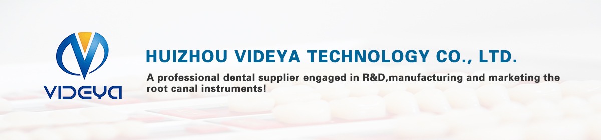 Huizhou Videya Technology Co., Ltd. - K-files, H-files