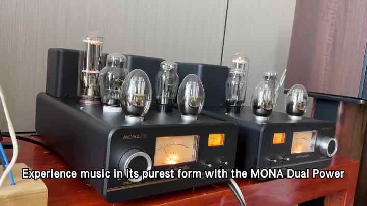 Mona 35W*2 Hifi Home Theater Audiophile Power Amplifier