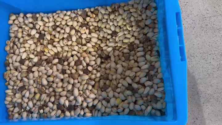 Maquina separadora de cascaras de pistacho pistachio sorting machine ...