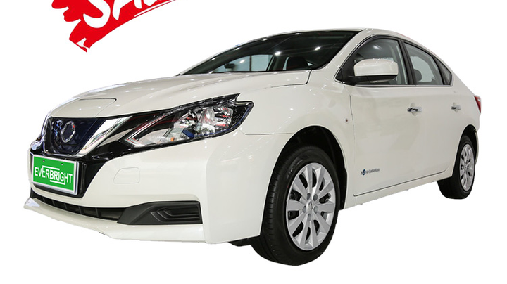 automatic electric car elavida with air conditioner chang an X li