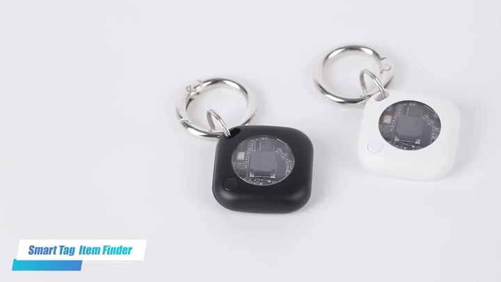 Anti-lost Smart Item Finder & Gps Locator Tag - Oem Available