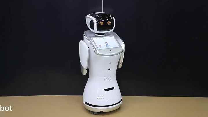 Robots Humanoids Smart Intelligent Robot Human Size Robots for Sale ...