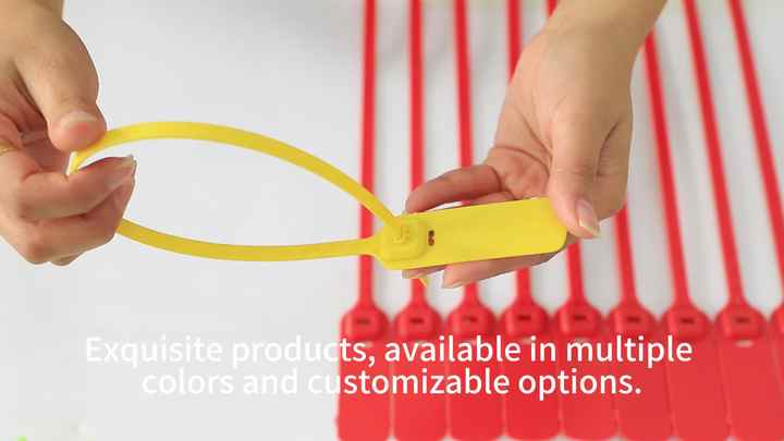 HS-PS6020 3mm Diameter One-time Use Safety Plastic Container Lock ...