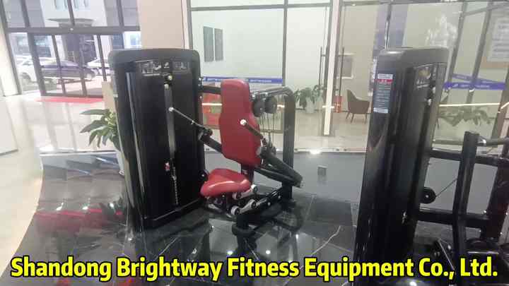 Seated Dip Commercial Steel Seated Dip Machine Body Trainer Triceps ...